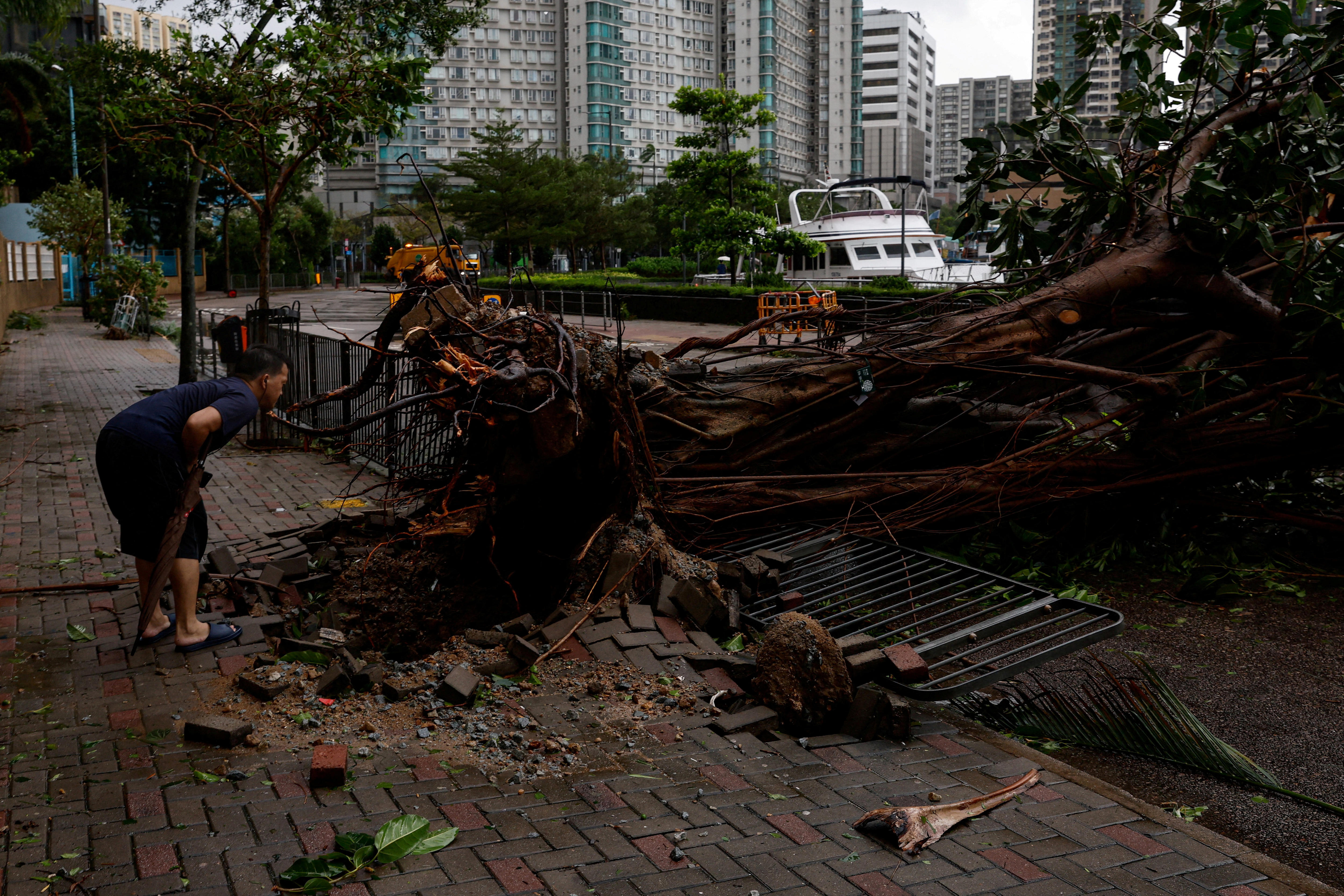Typhoon Saola makes landfall in Guangdong, killing one and causing ...