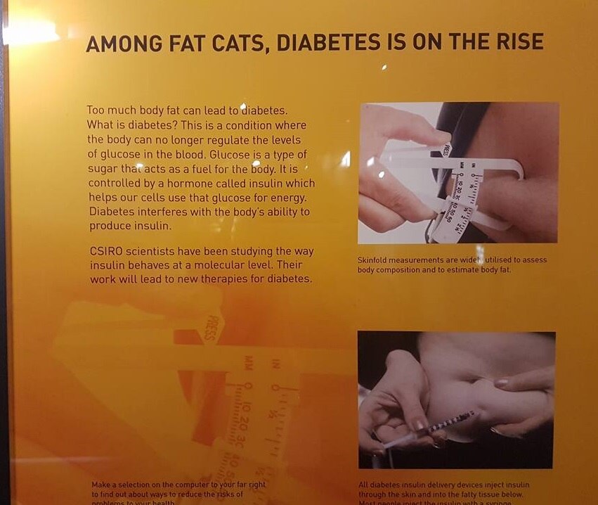 CSIRO criticised for having outdated poster referring to diabetics as ...