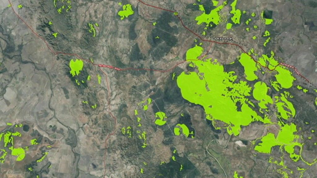 Trigger Happy: Row over mapping laws to protect endangered plants - ABC ...