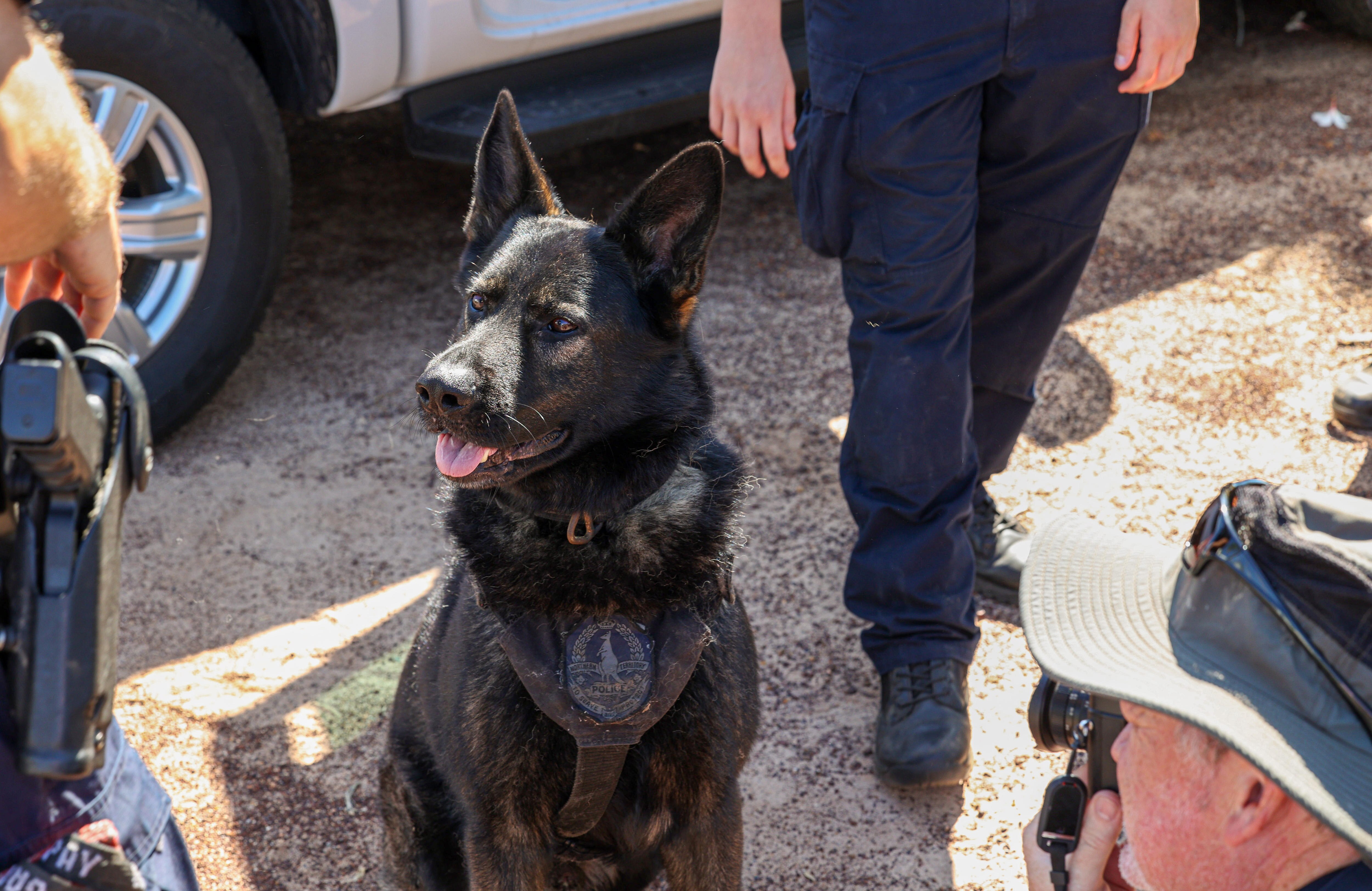 NT Police dog operations unit doubles capacity in Darwin with new ...