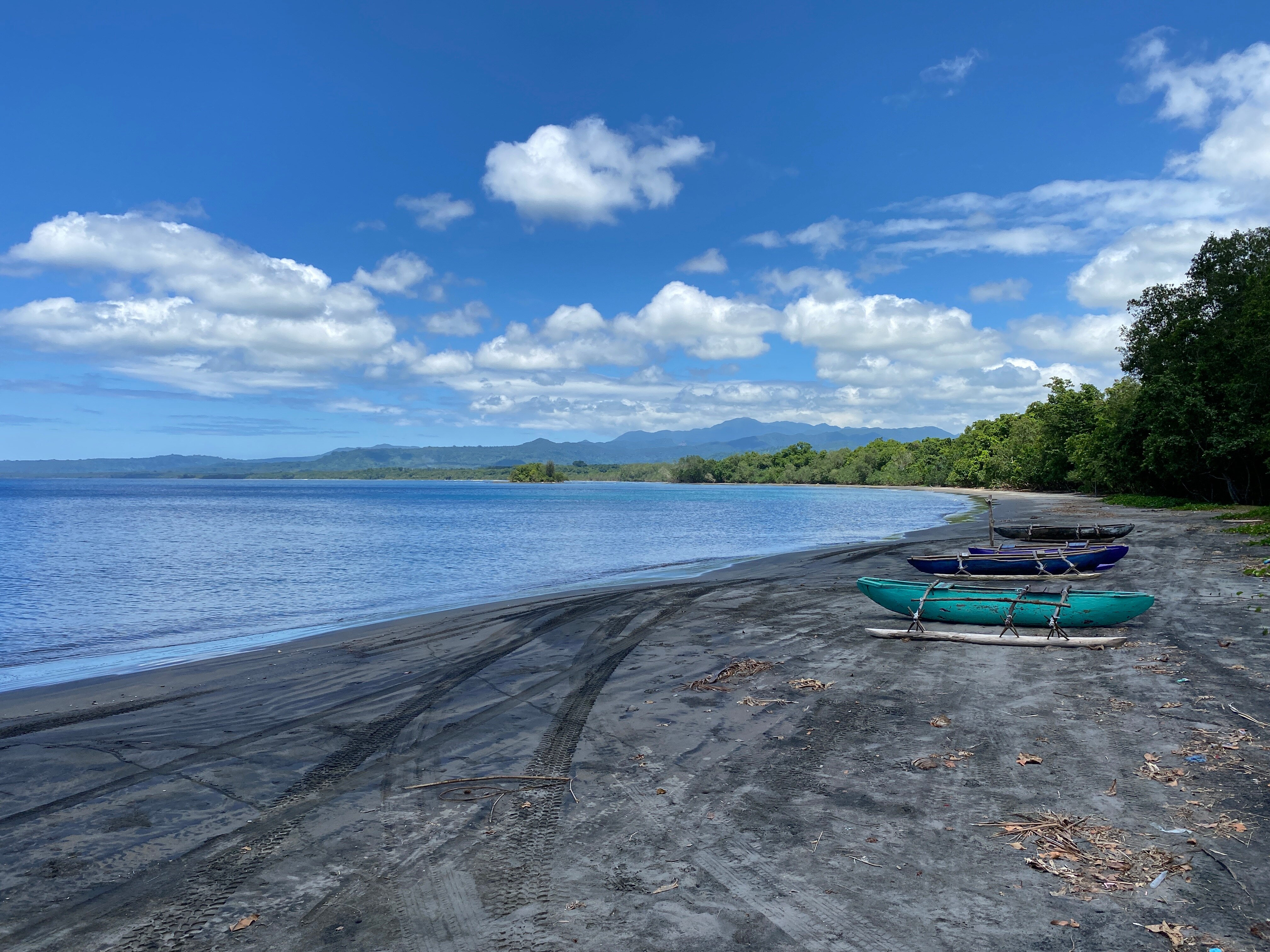 Vanuatu govt to investigate claims against Chinese logging company ...