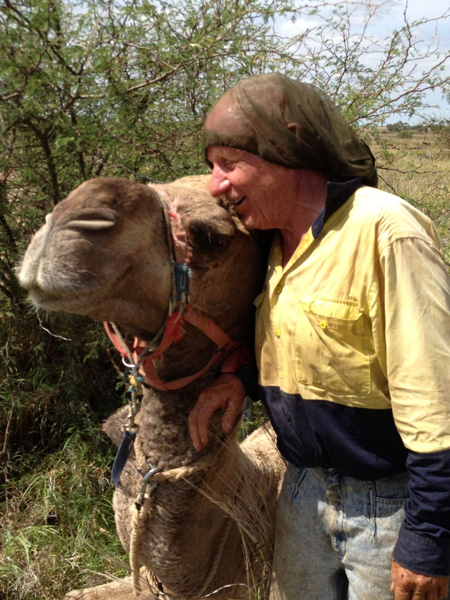 Outback camel traveller not done yet - ABC News