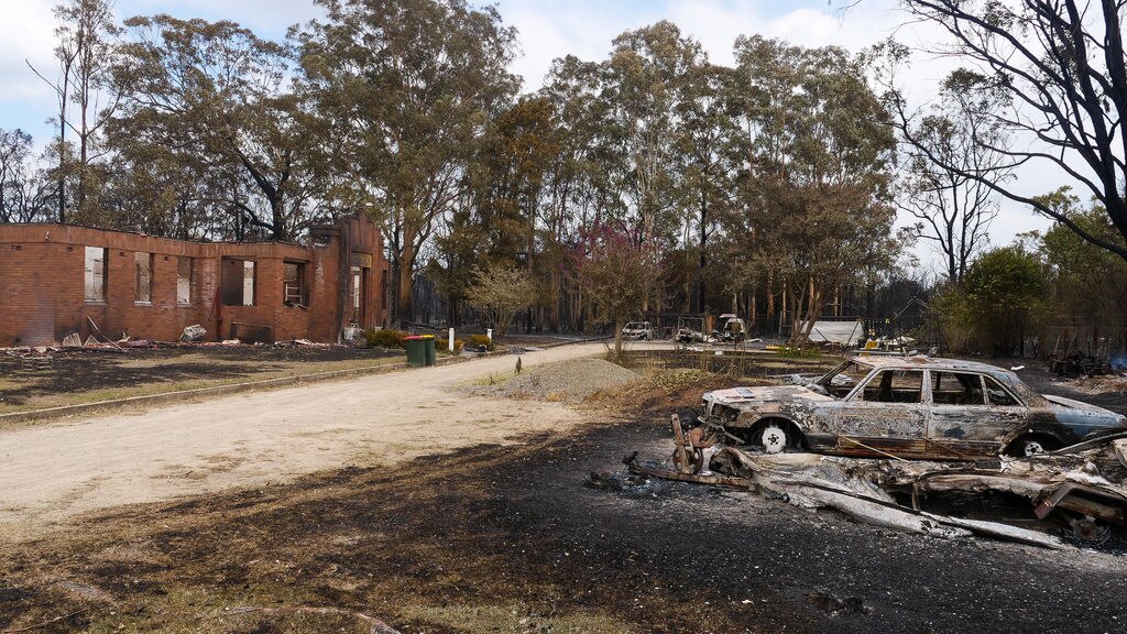 Firefighters are working on multiple bushfires in the NSW Hunter region ...