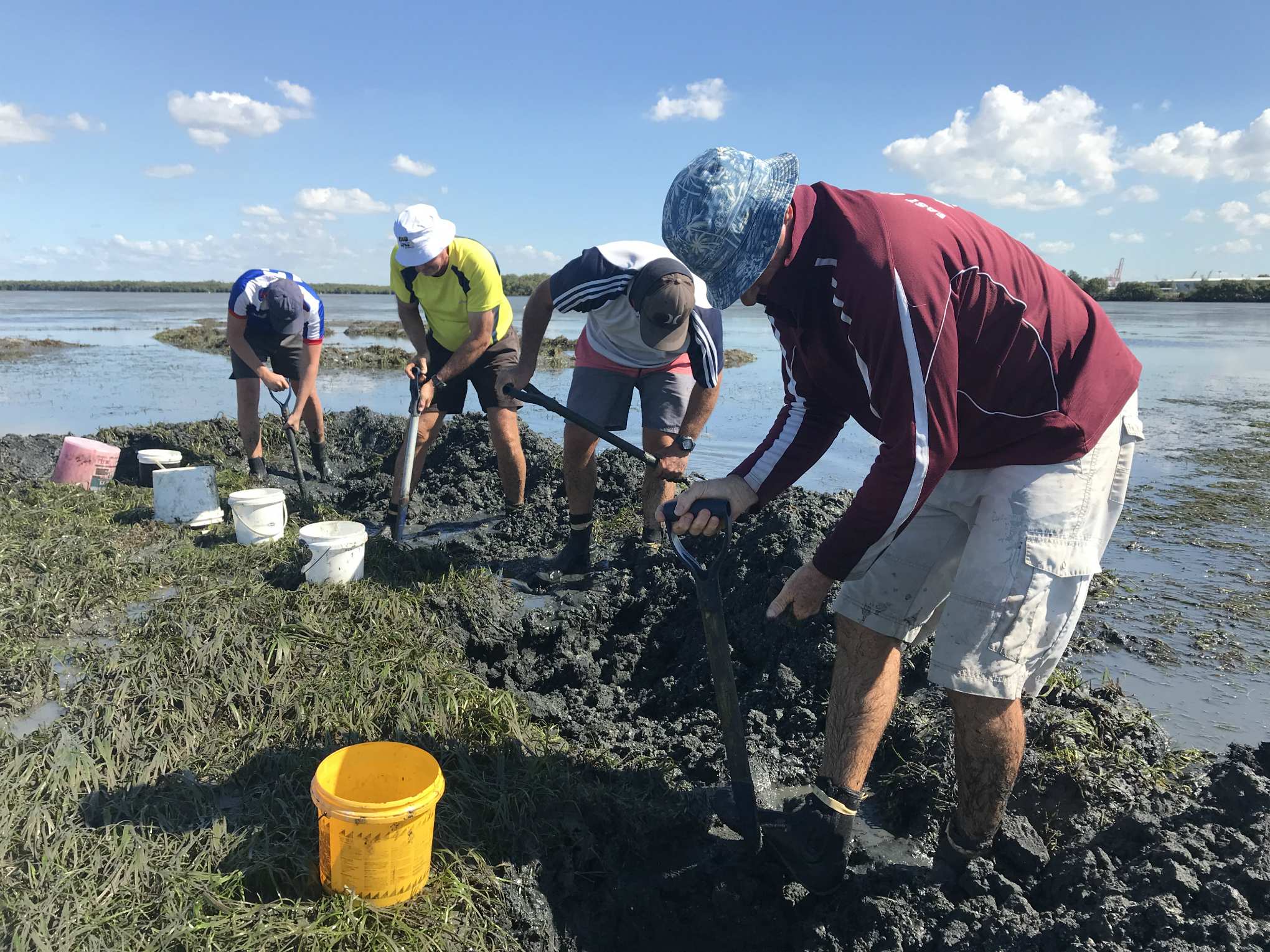 Bait businesses left high and dry as south-east Queensland bloodworms ...
