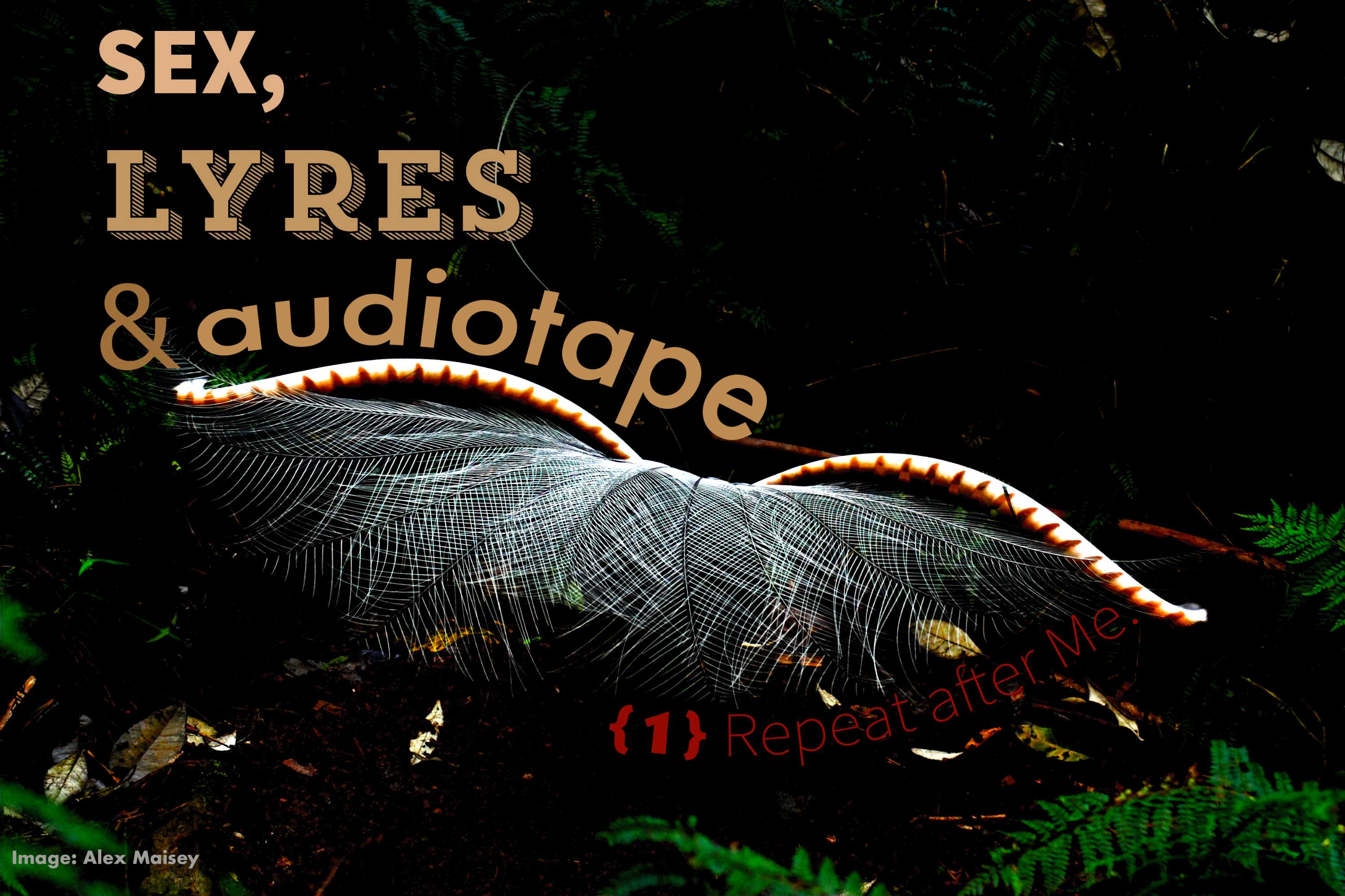 Lyrebirds - Repeat after me - ABC listen