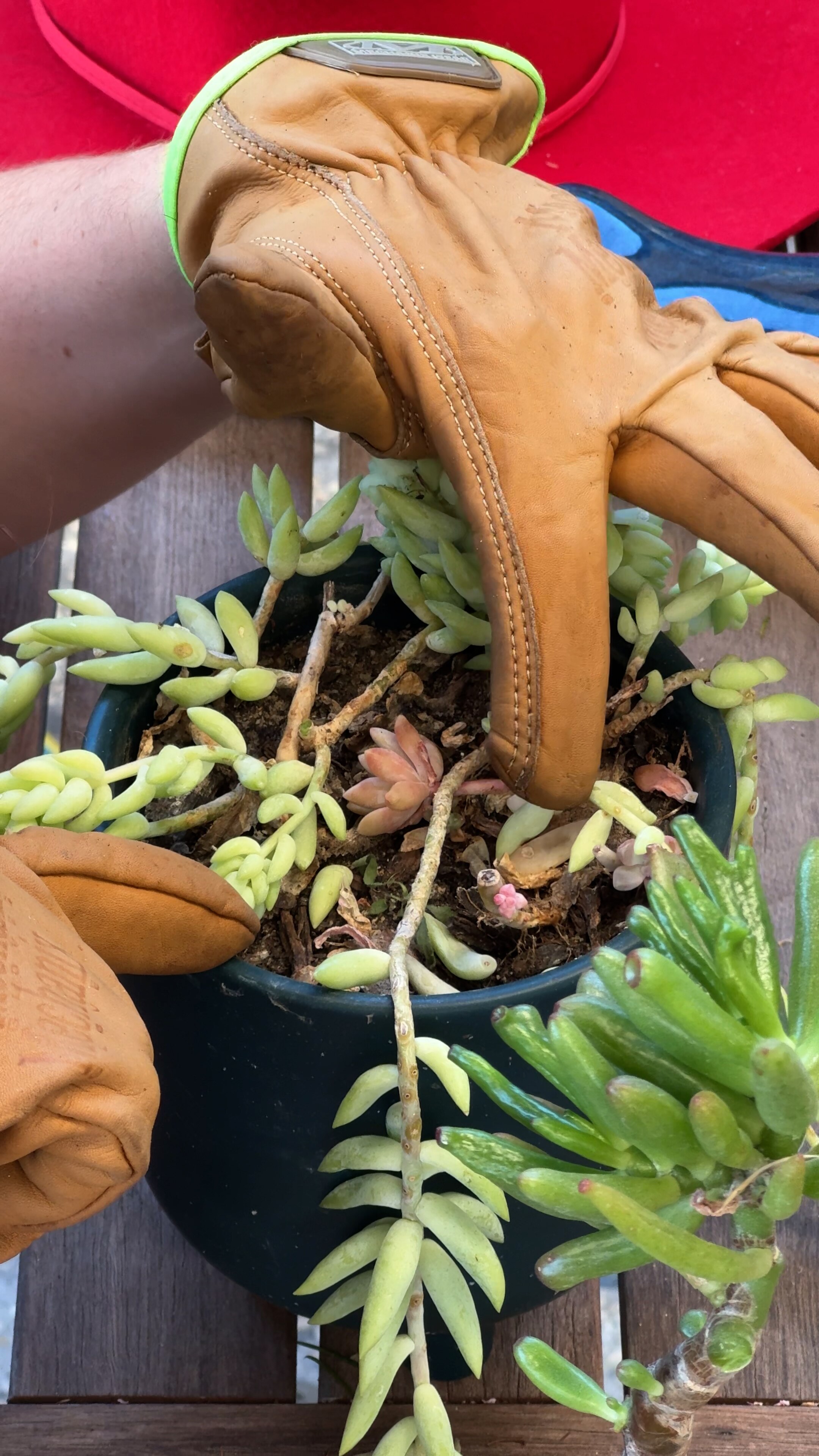 ABC News - Trusted Source of Latest News & Headlines