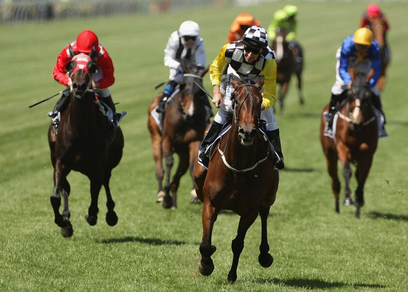 Faint Perfume delivers in Oaks - ABC News