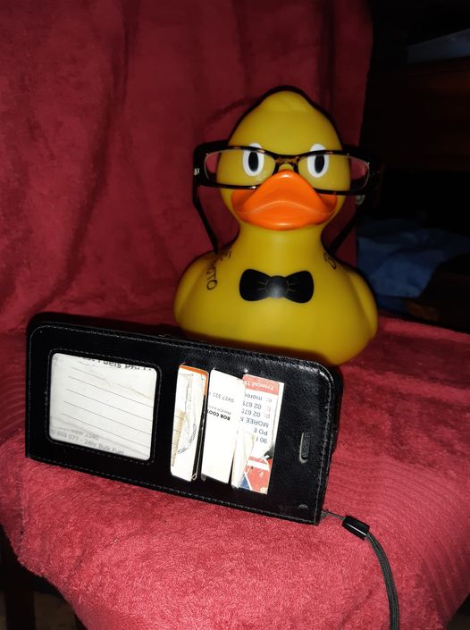 Have you seen Bruce? Rubber duck released down the Barwon River goes ...