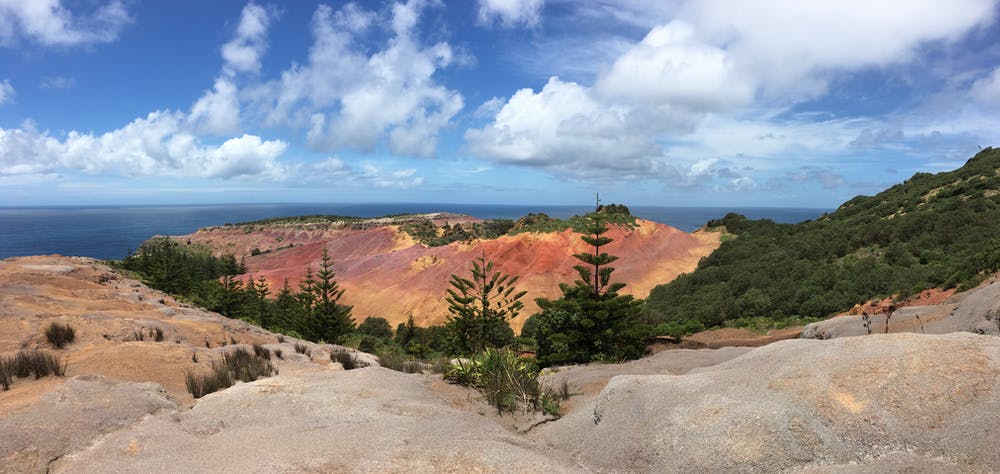Giant bird-eating centipedes exist — and they’re surprisingly important ...