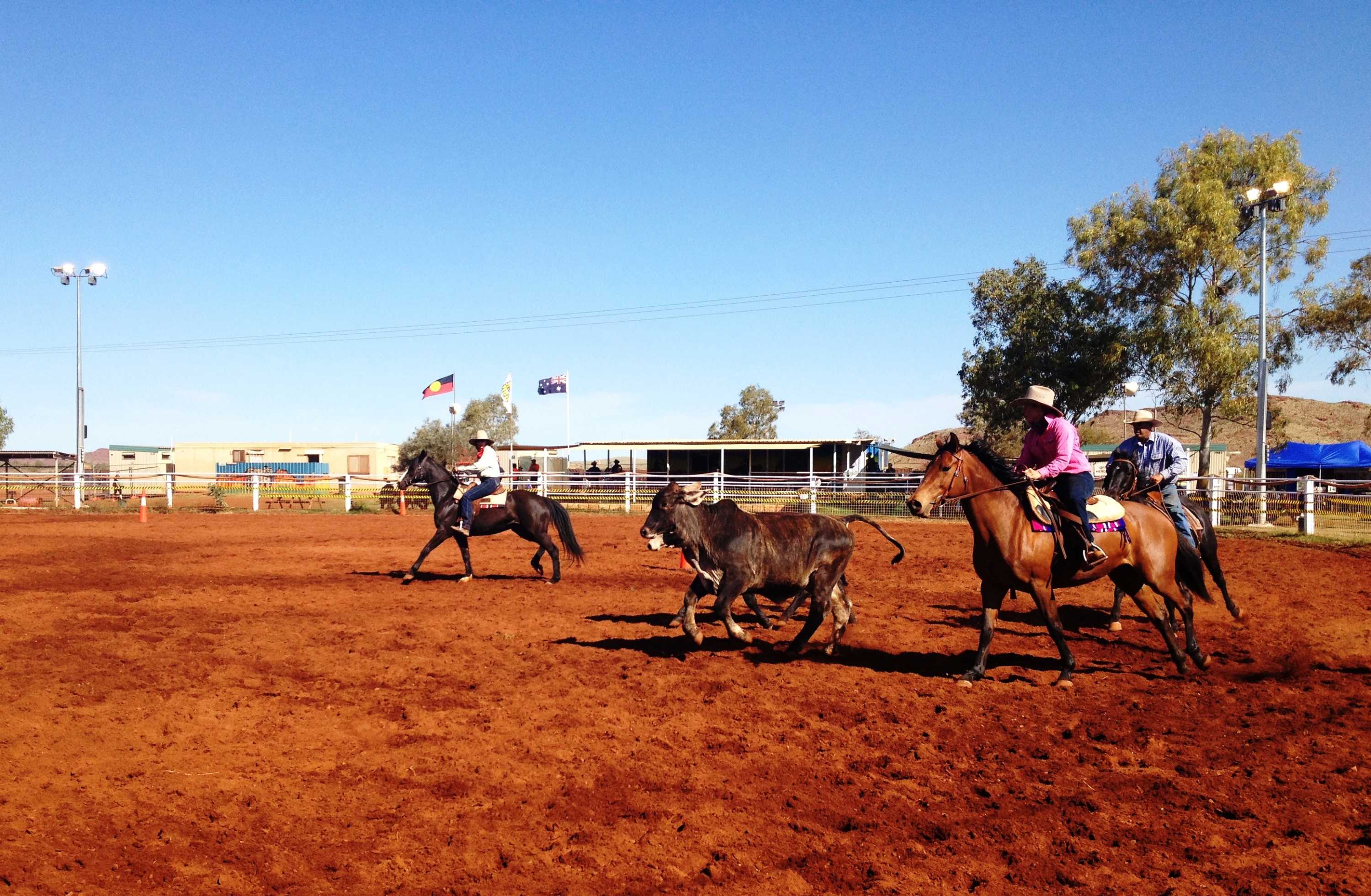 Pilbara mining town of Pannawonica celebrates 20 years of rodeo - ABC News