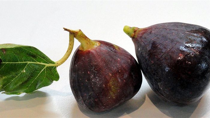 Roast Duck with Figs - ABC Everyday