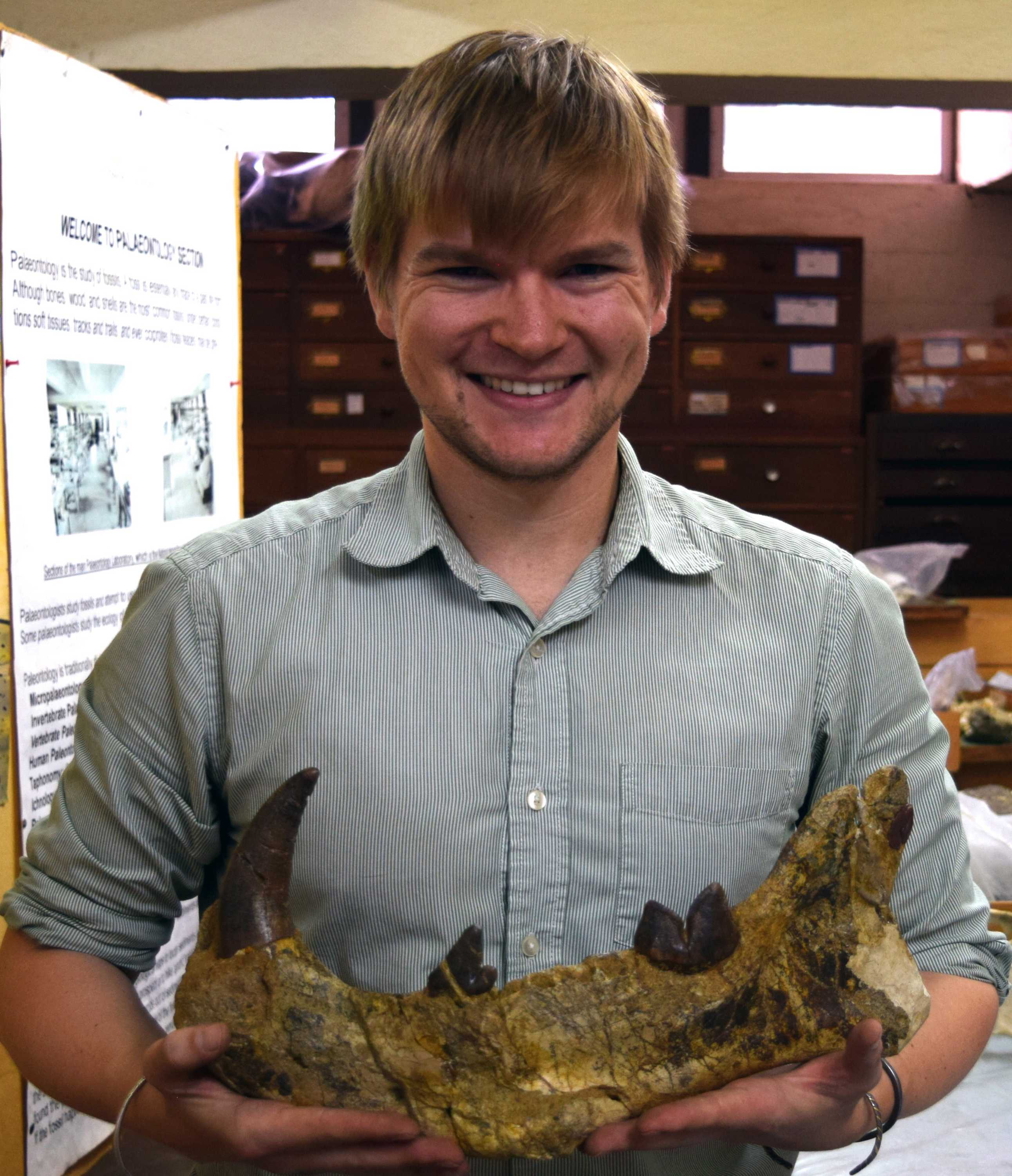 Giant carnivore fossil found in museum drawer by palaeontologist on his ...
