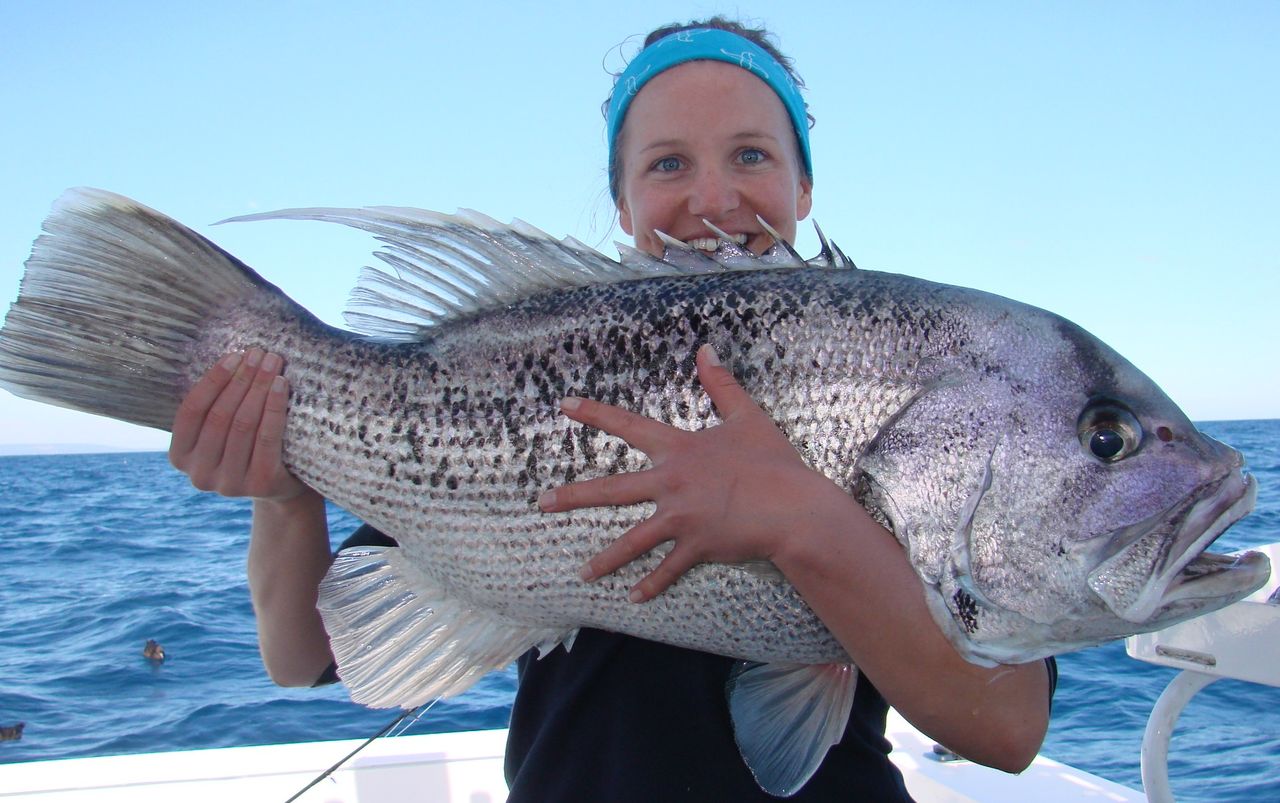 Anglers propose changes - ABC News