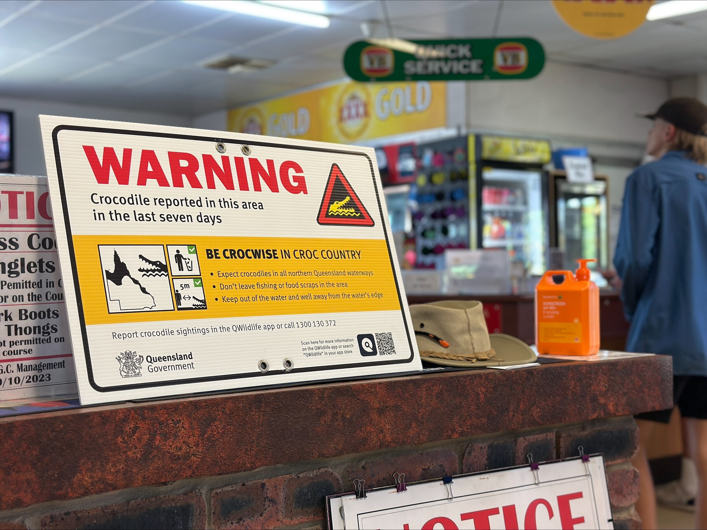 Hazardous crocodiles a popular attraction at North Rockhampton golf ...