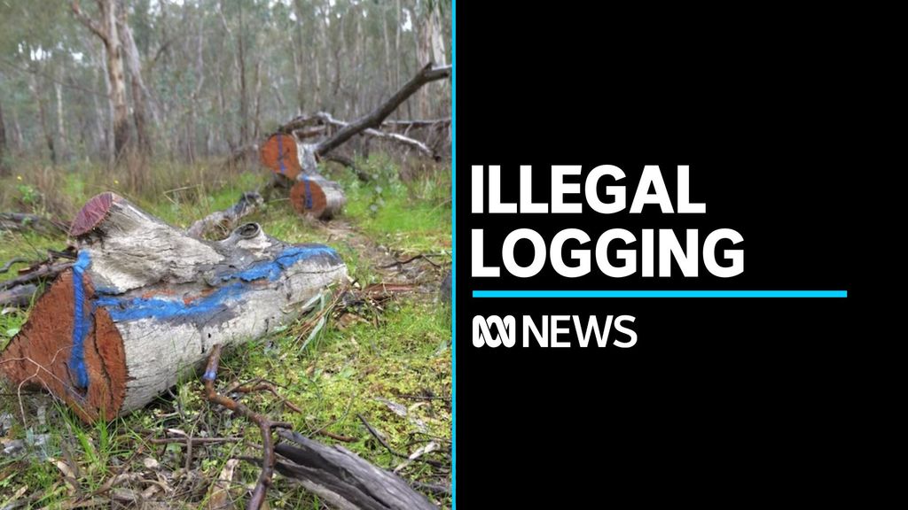 Further Chinese aggression expected despite ending diplomatic freeze ...