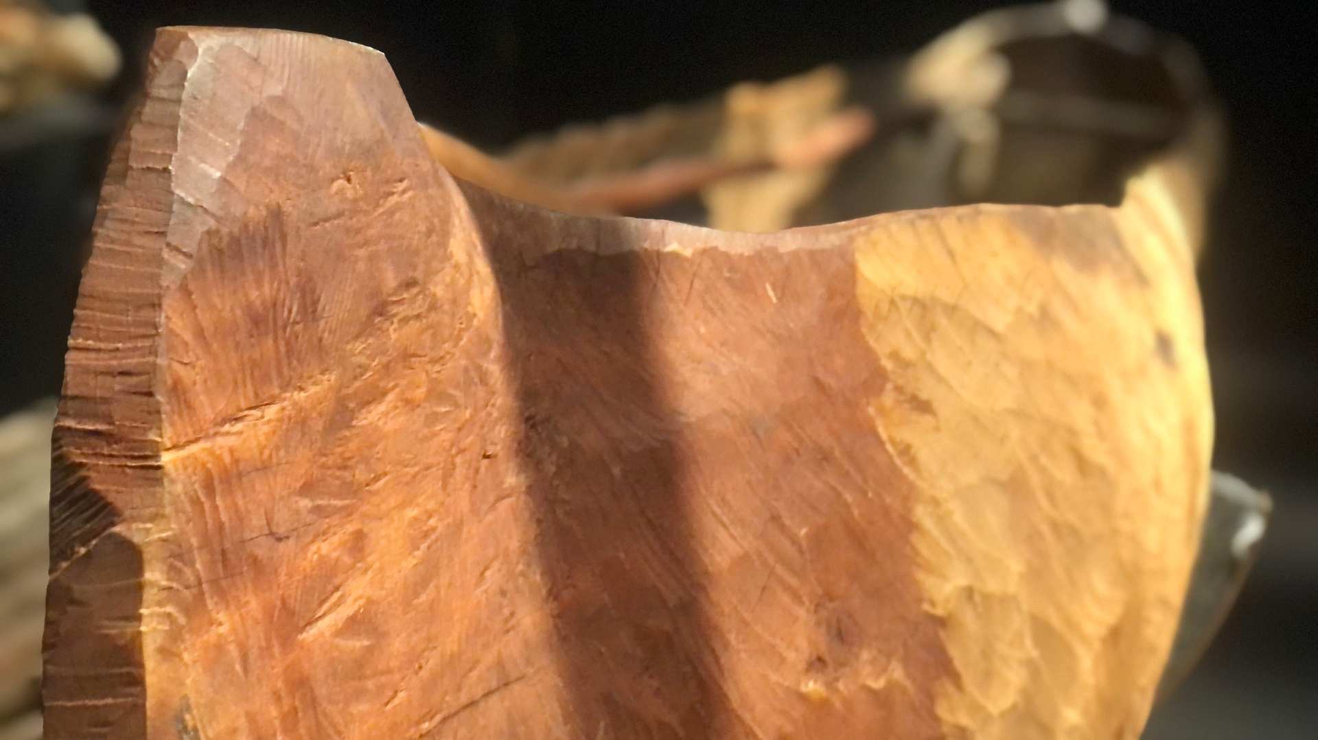 Importance of dugongs for Torres Strait Islander peoples - ABC Education