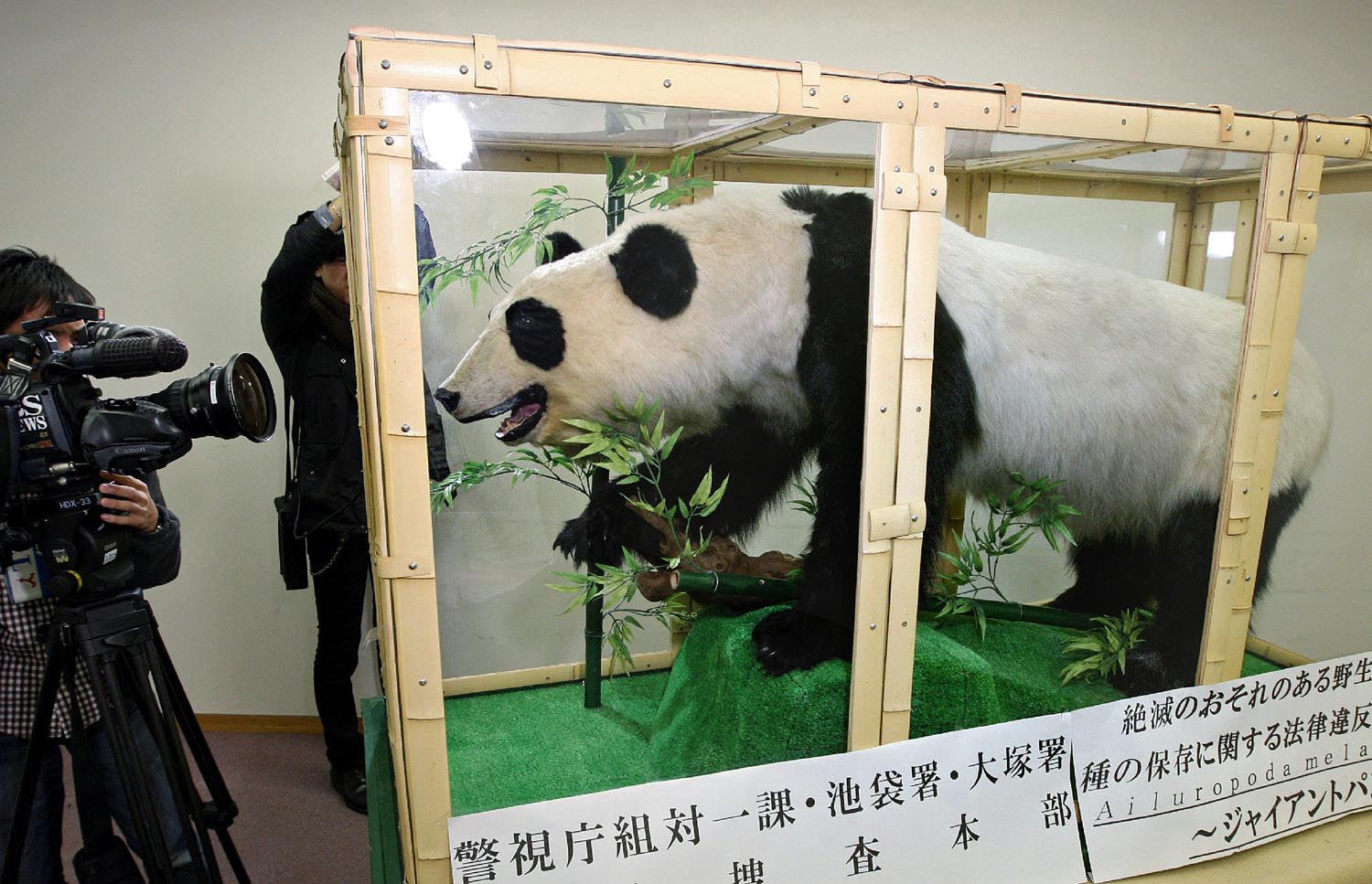 Man arrested for selling stuffed panda - ABC News