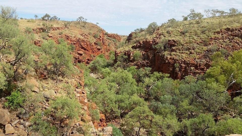 Secret gorge in WA's Pilbara unveiled by Indigenous tour guide - ABC News