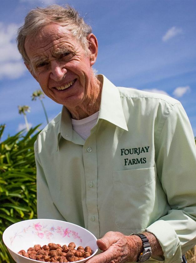 Gelato Messina set to plant orchard to match hazelnut ice-cream blend ...