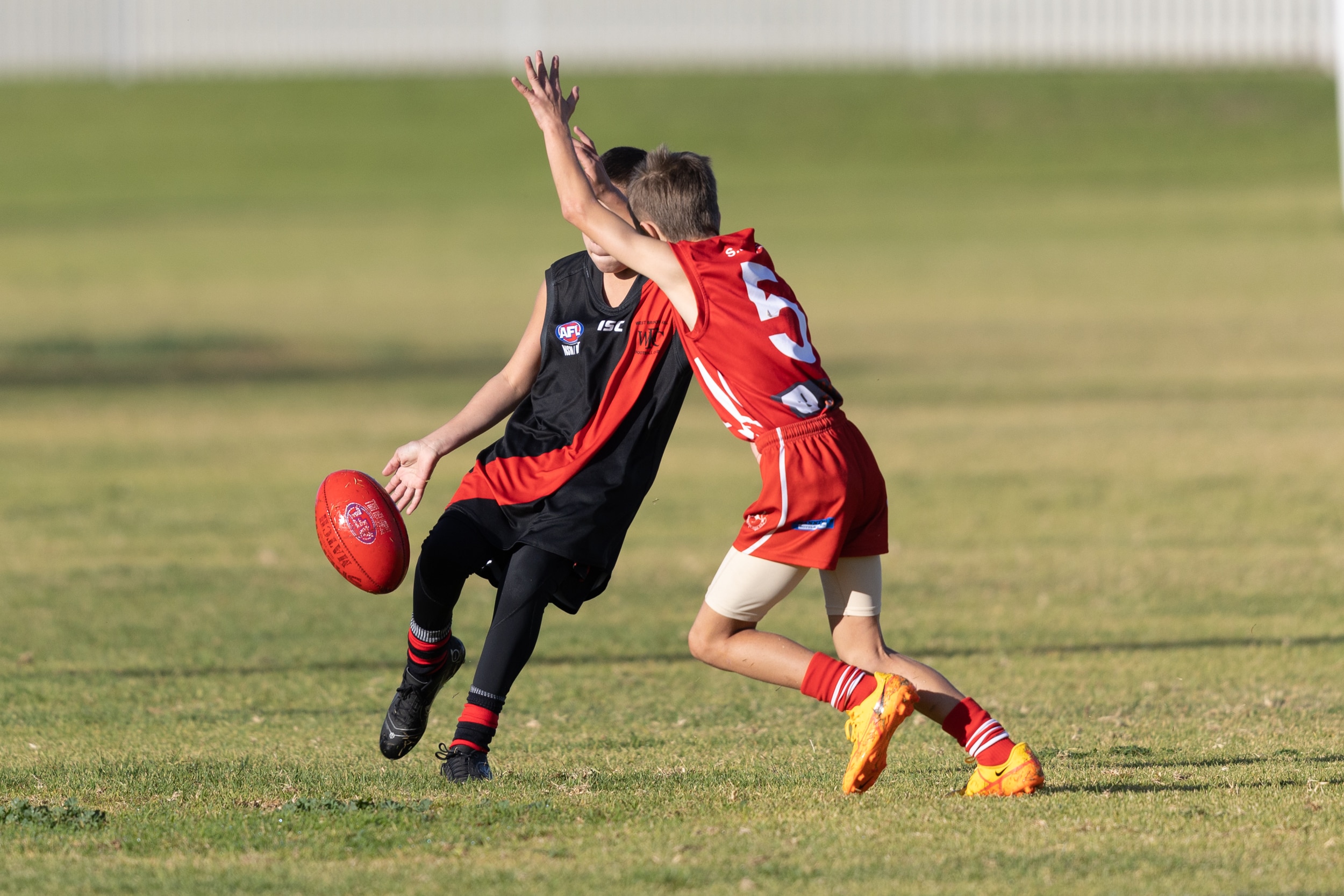 Josh Mercer - ABC News