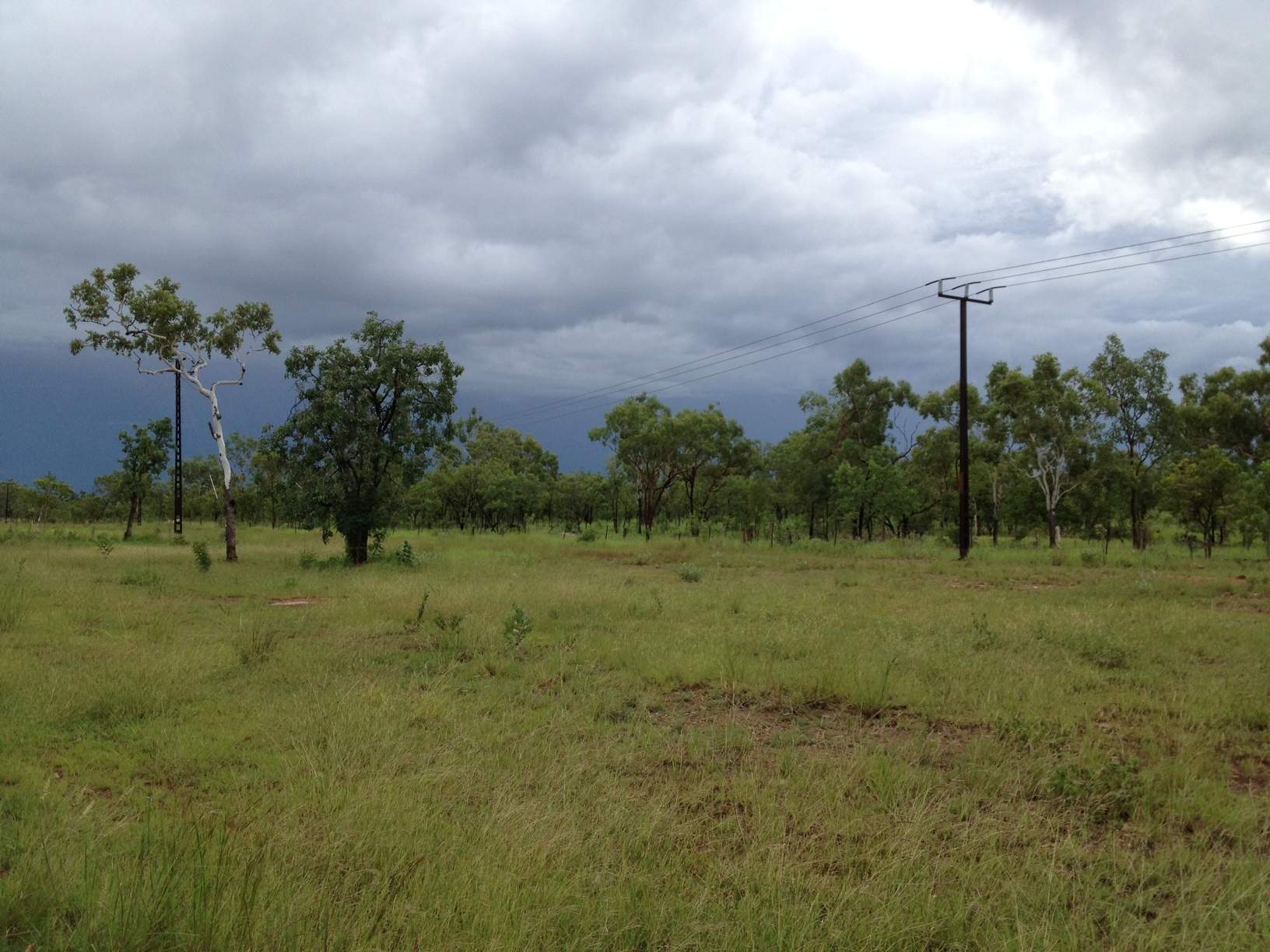 Cyclone brings rain hope for Top End pastoralists - ABC News