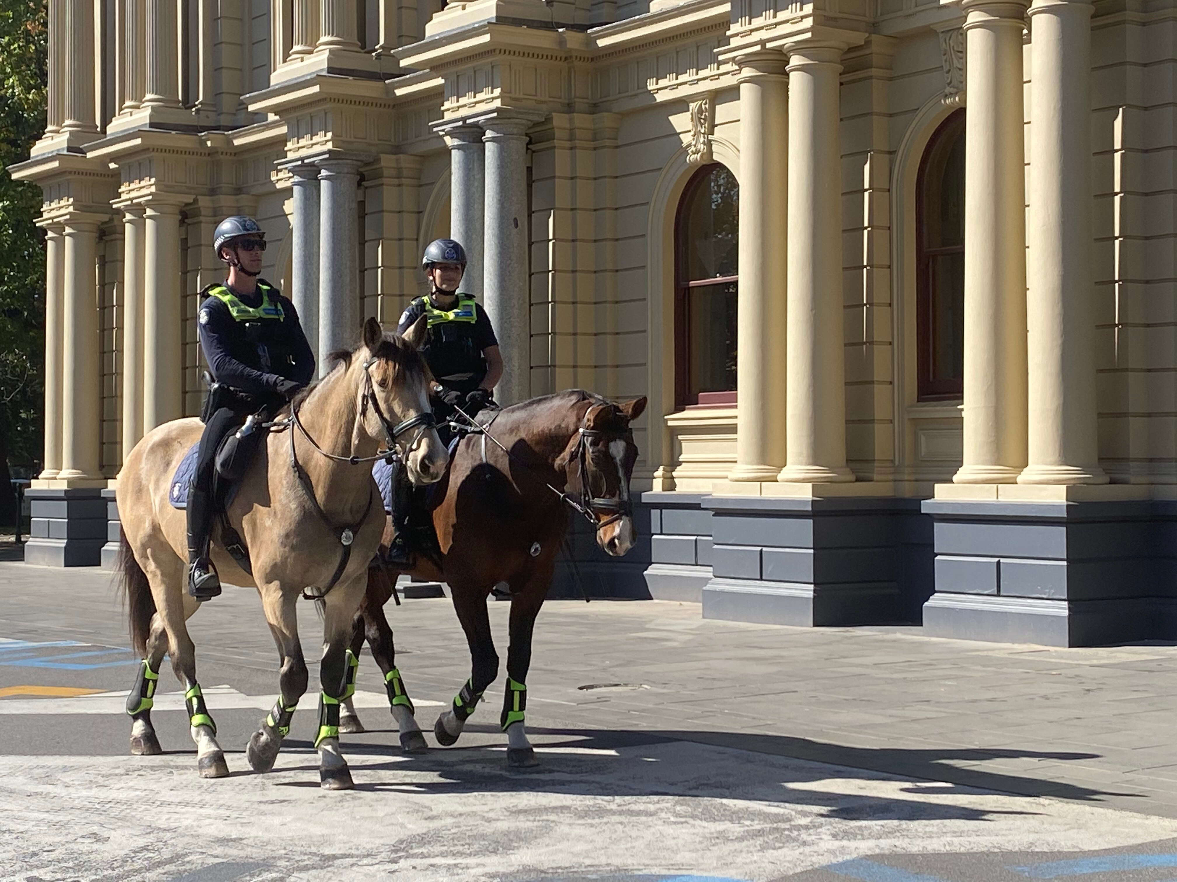 Machete found on Bendigo street as police tackle rise in knife crime ...
