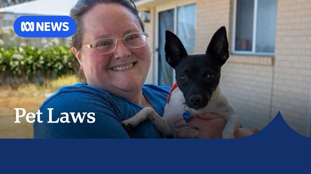 ABC News SA: Challenges for renters with pets despite law changes : ABC ...