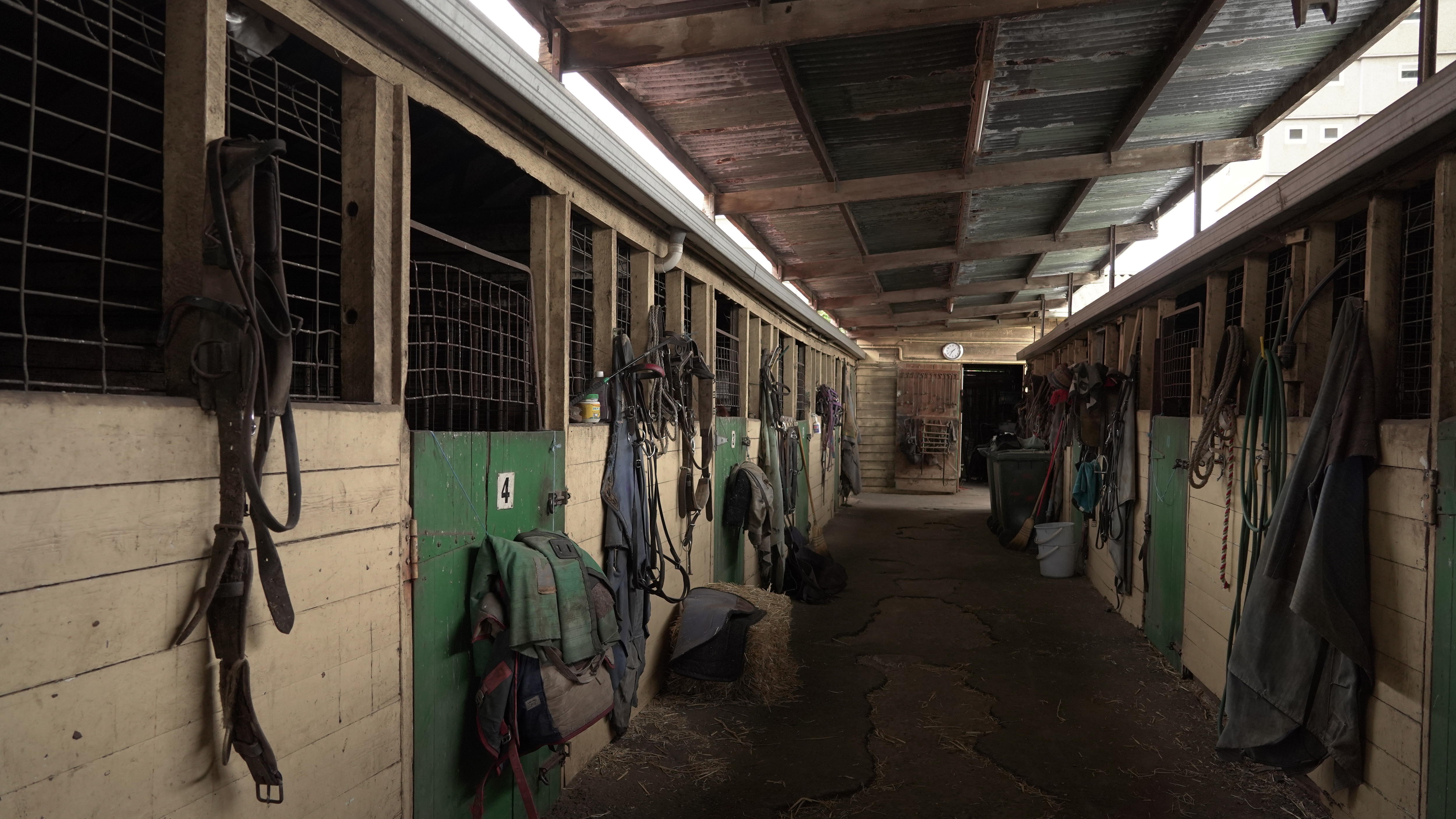 Reining Supreme - ABC News