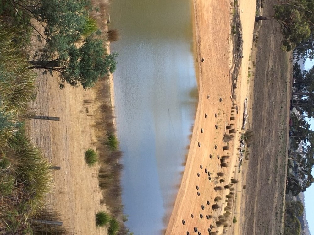 More assistance announced for Tasmania farmers struggling with the dry ...