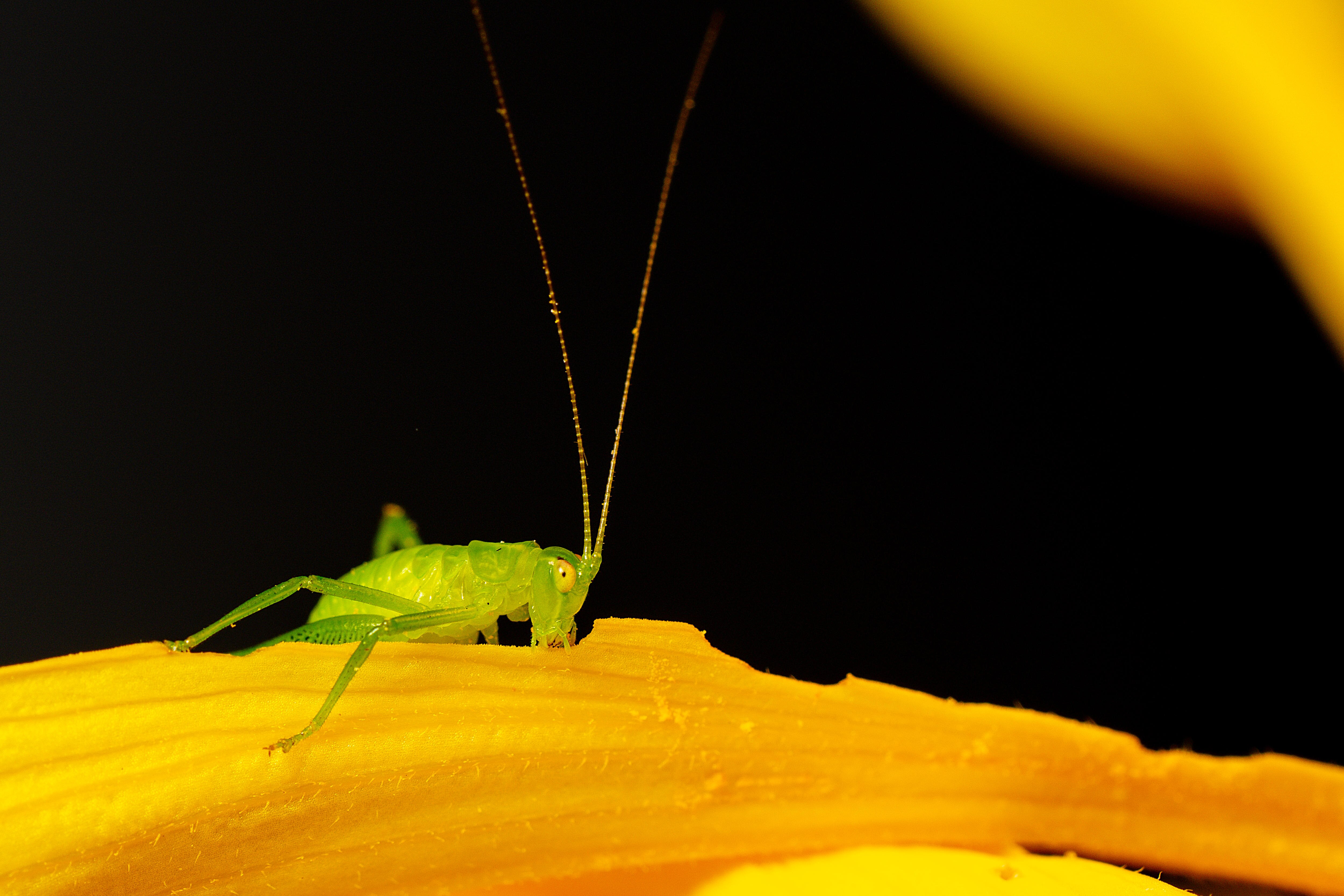 The Philosopher's Zone with David Rutledge - ABC listen