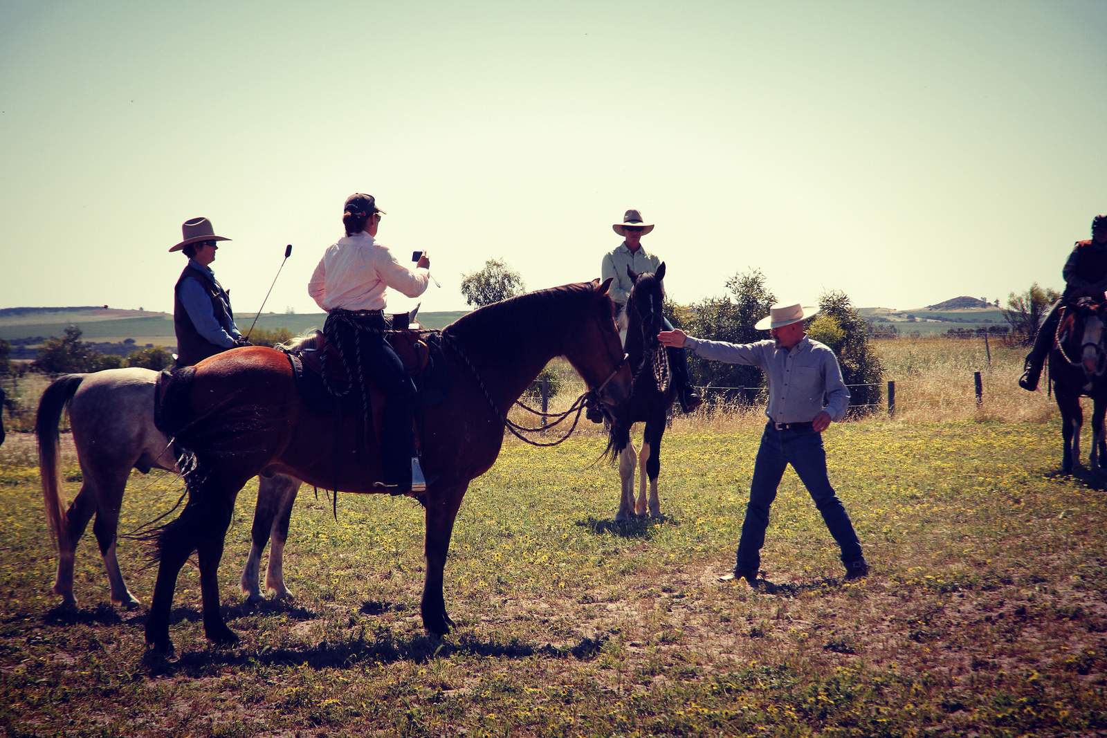 Vaquero horsemanship skills taught to West Australian horse riders ...