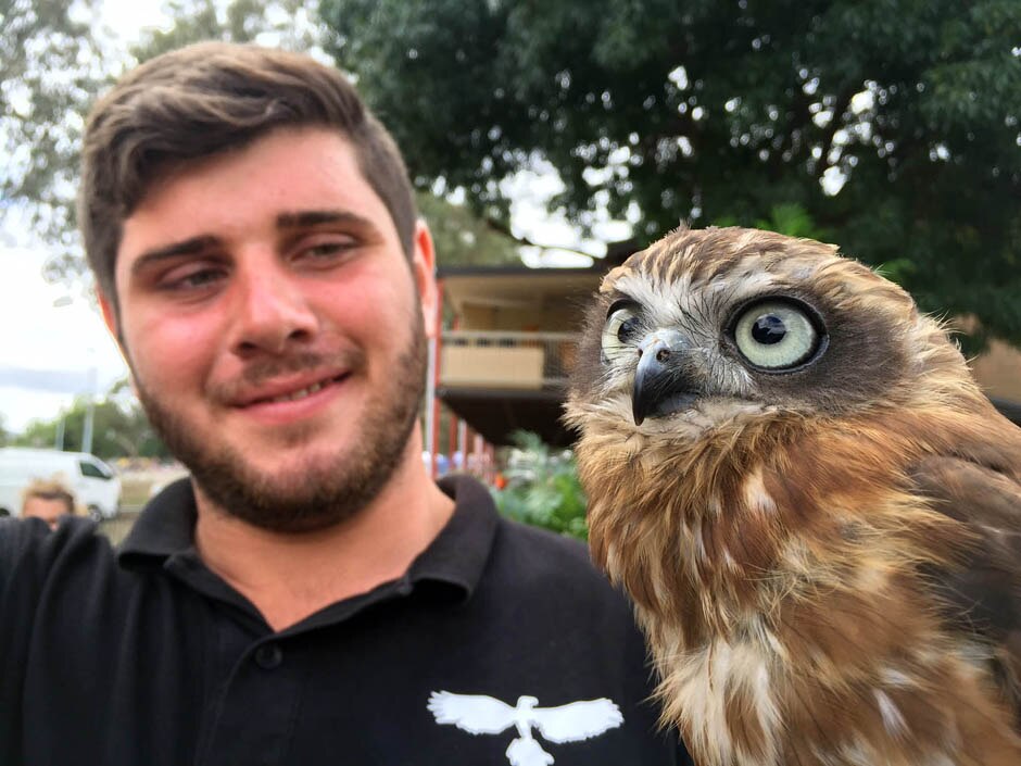 Royal Canberra show: Pretty pollies, proud pooches reign supreme - ABC News