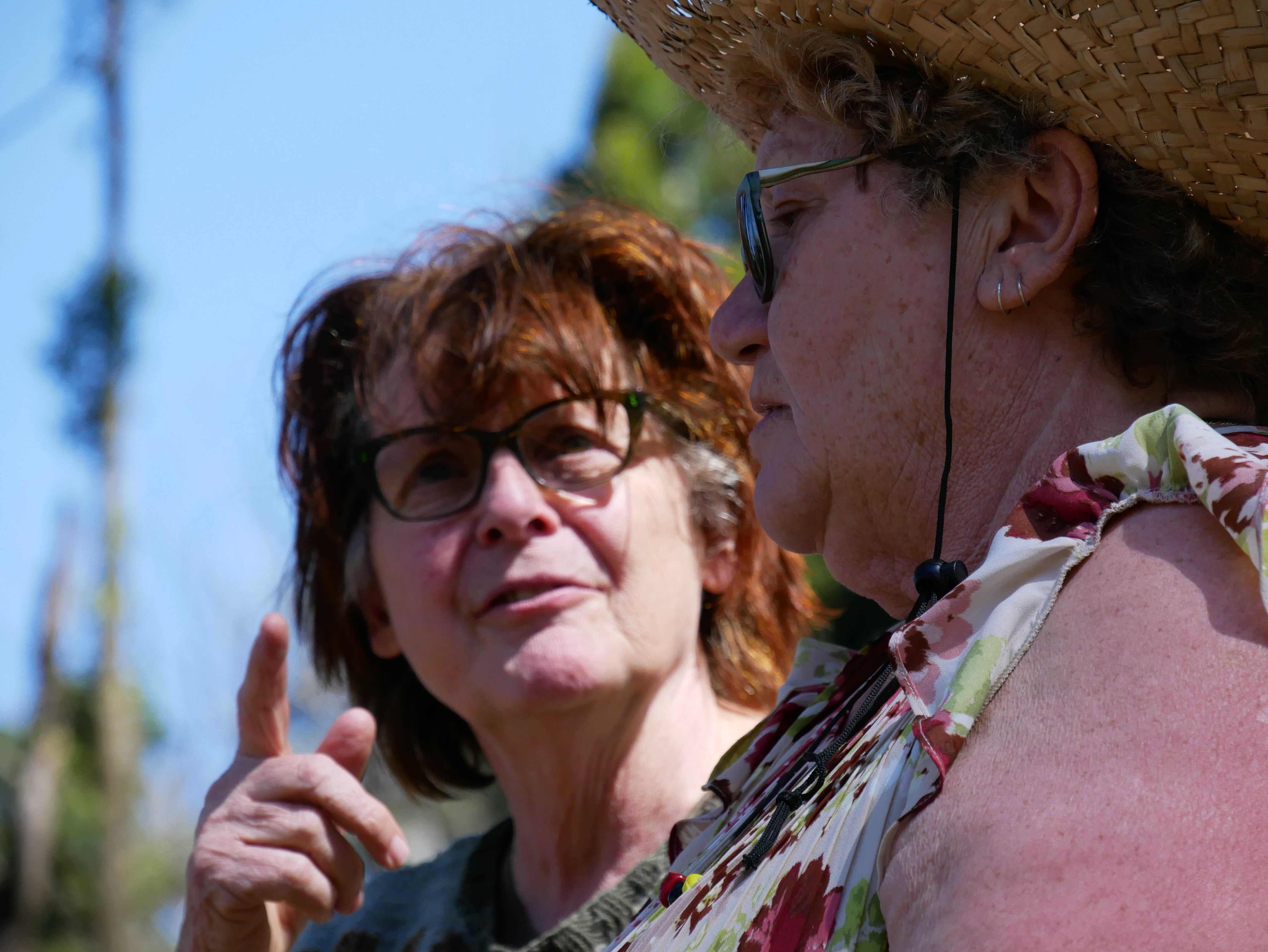 Walbunja traditional custodians gifted estate of activist, academic Val Plumwood in NSW - ABC News