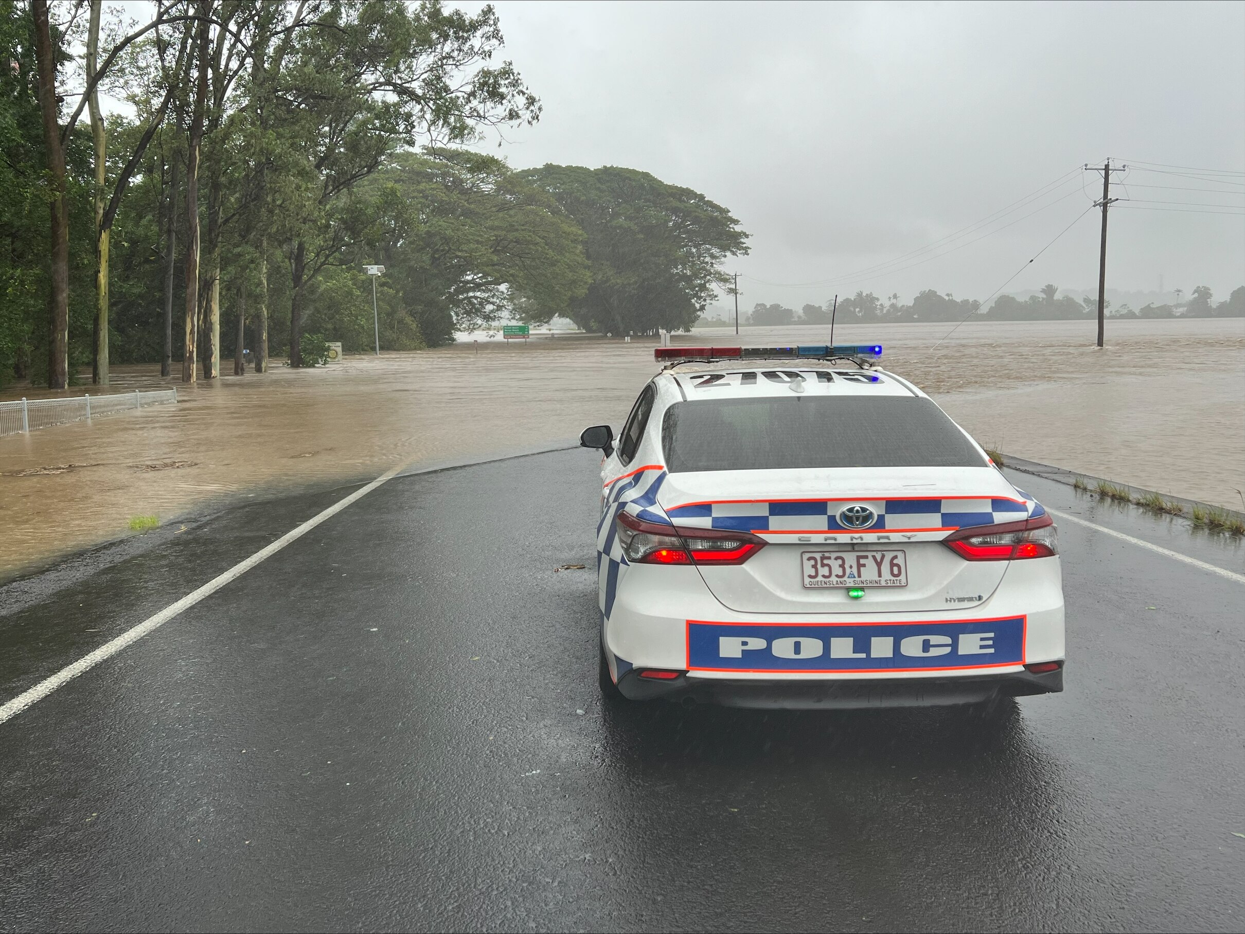 Deadly Australian funnel-web spiders can also kill melanoma cancer ...