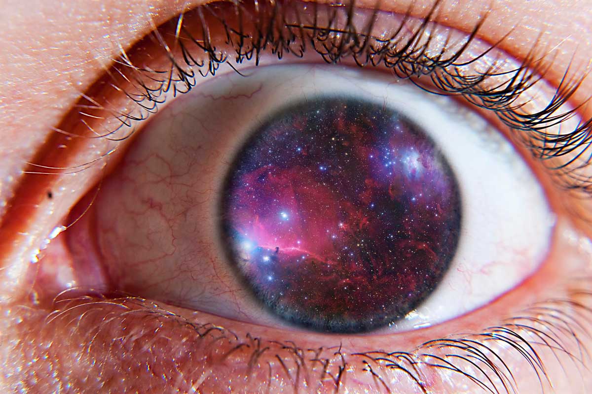 Dr Gavin Francis' medical journey through the human body - ABC Radio ...