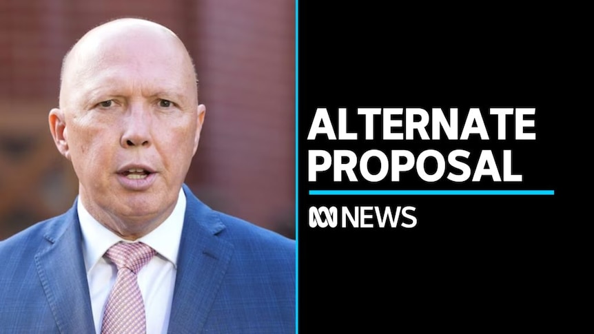 Constitutional law expert casts doubt on Dutton voice suggestion - ABC News Constitutional law expert casts doubt on Dutton voice suggestion - ABC News