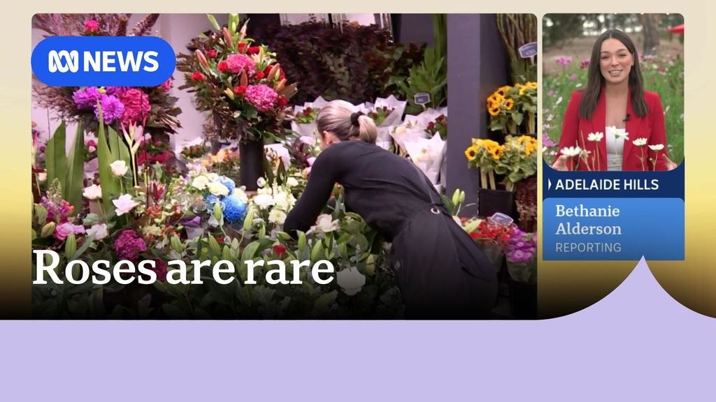 South Australia - ABC News