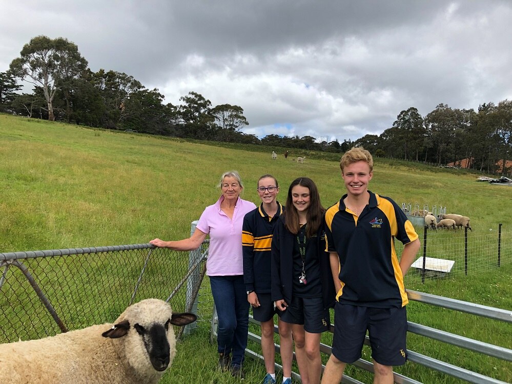 Learning the story of agriculture from Kindergarten through to Grade 12 ...