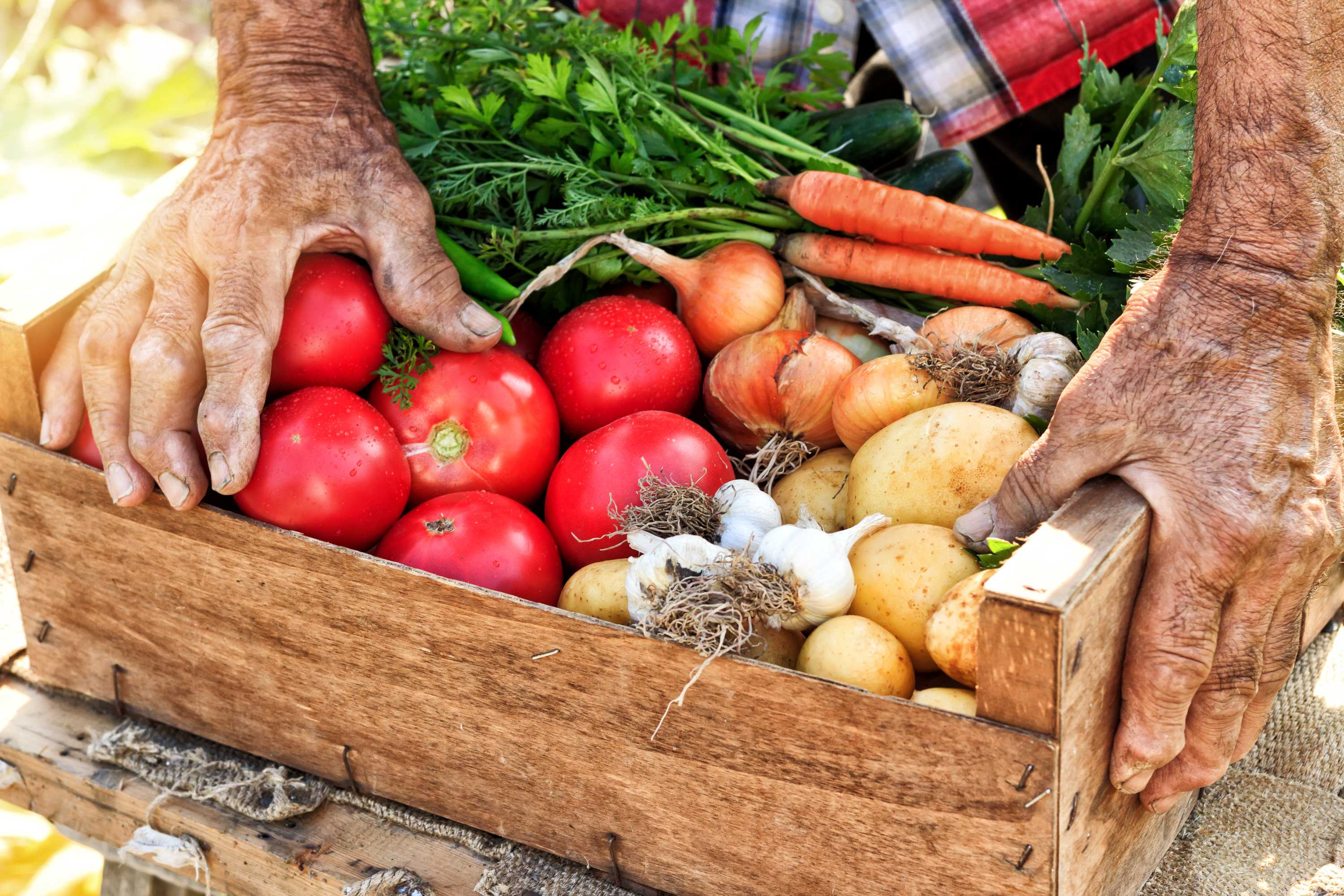 Food: It starts on the farm - ABC Radio National