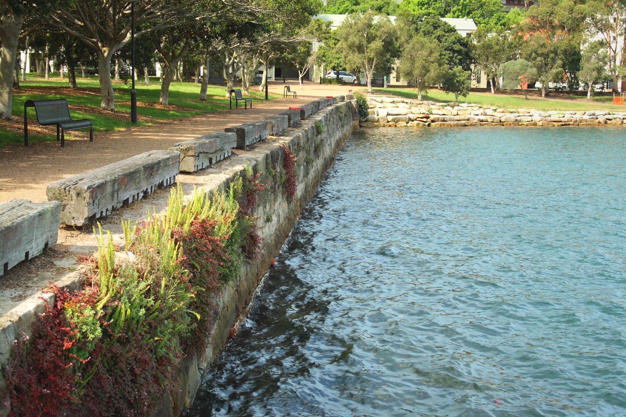 Inner West to host Sydney's newest harbour pool at Mort Bay - ABC listen