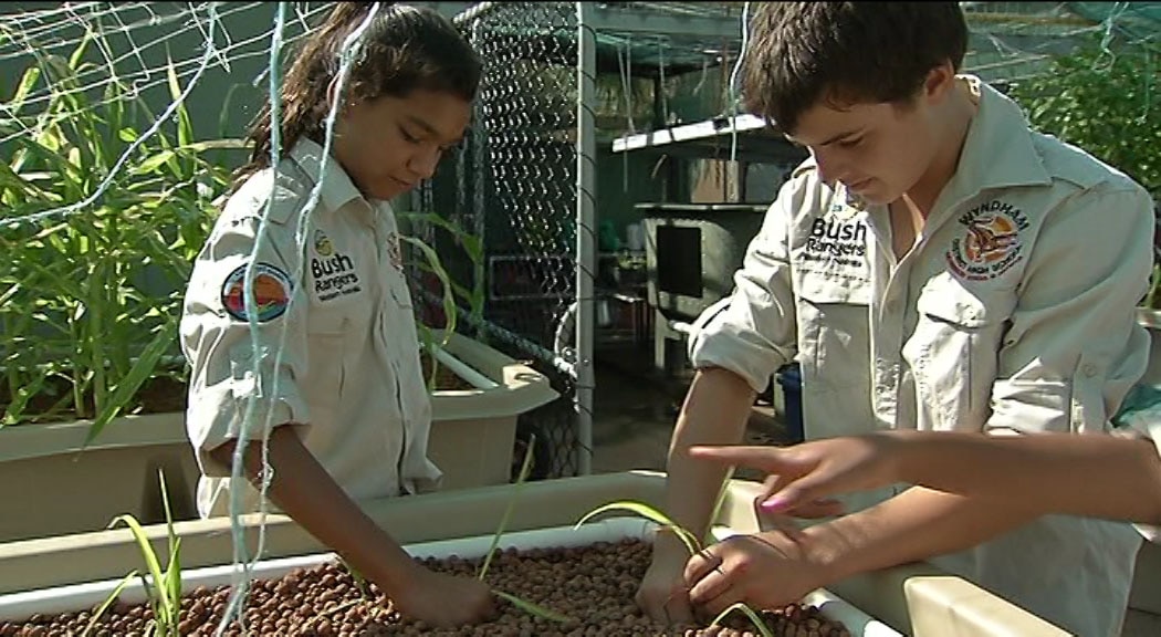 Students become bush rangers to learn environmental and survival skills ...