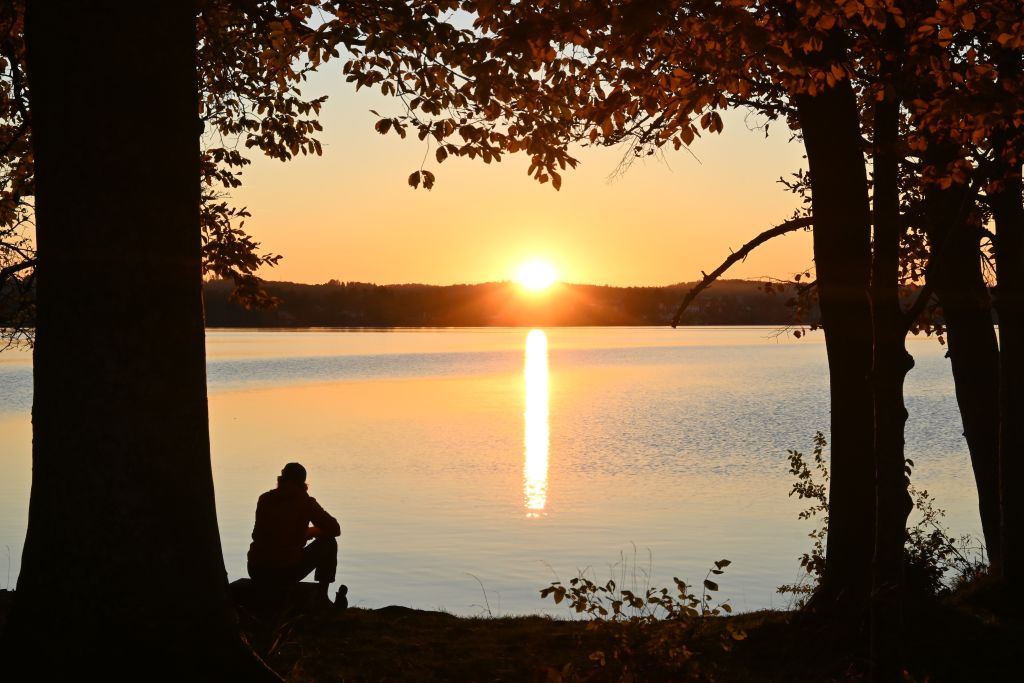 The devastating loneliness of mid-life men - ABC listen
