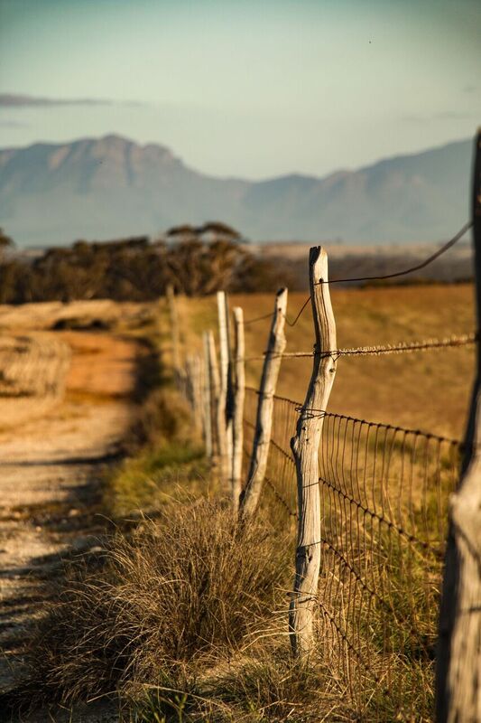 Visit to rural Australia sparks love, a new life, and a new career in ...