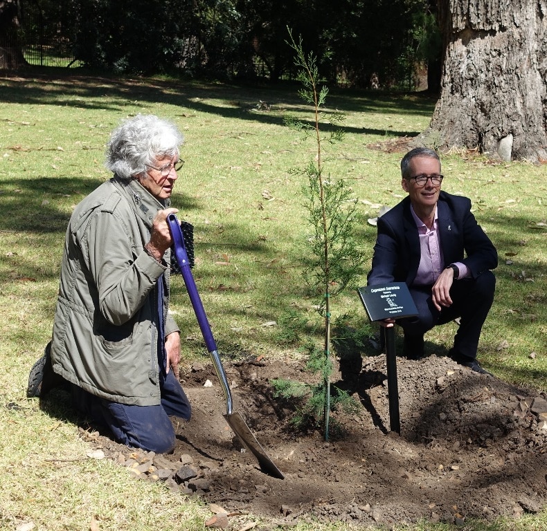 Cartoonist Michael Leunig's life as a guerrilla gardener on the curly ...