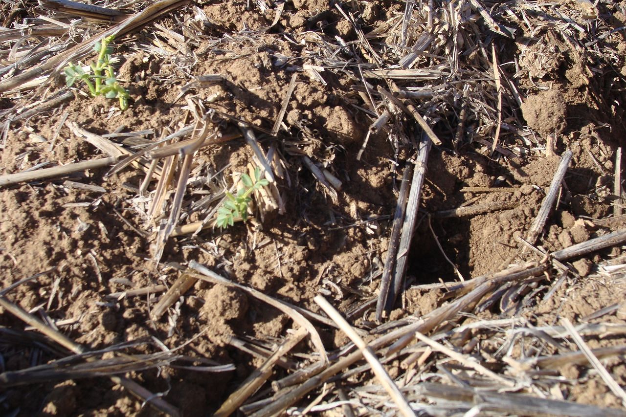 Victorian Country Hour - ABC listen