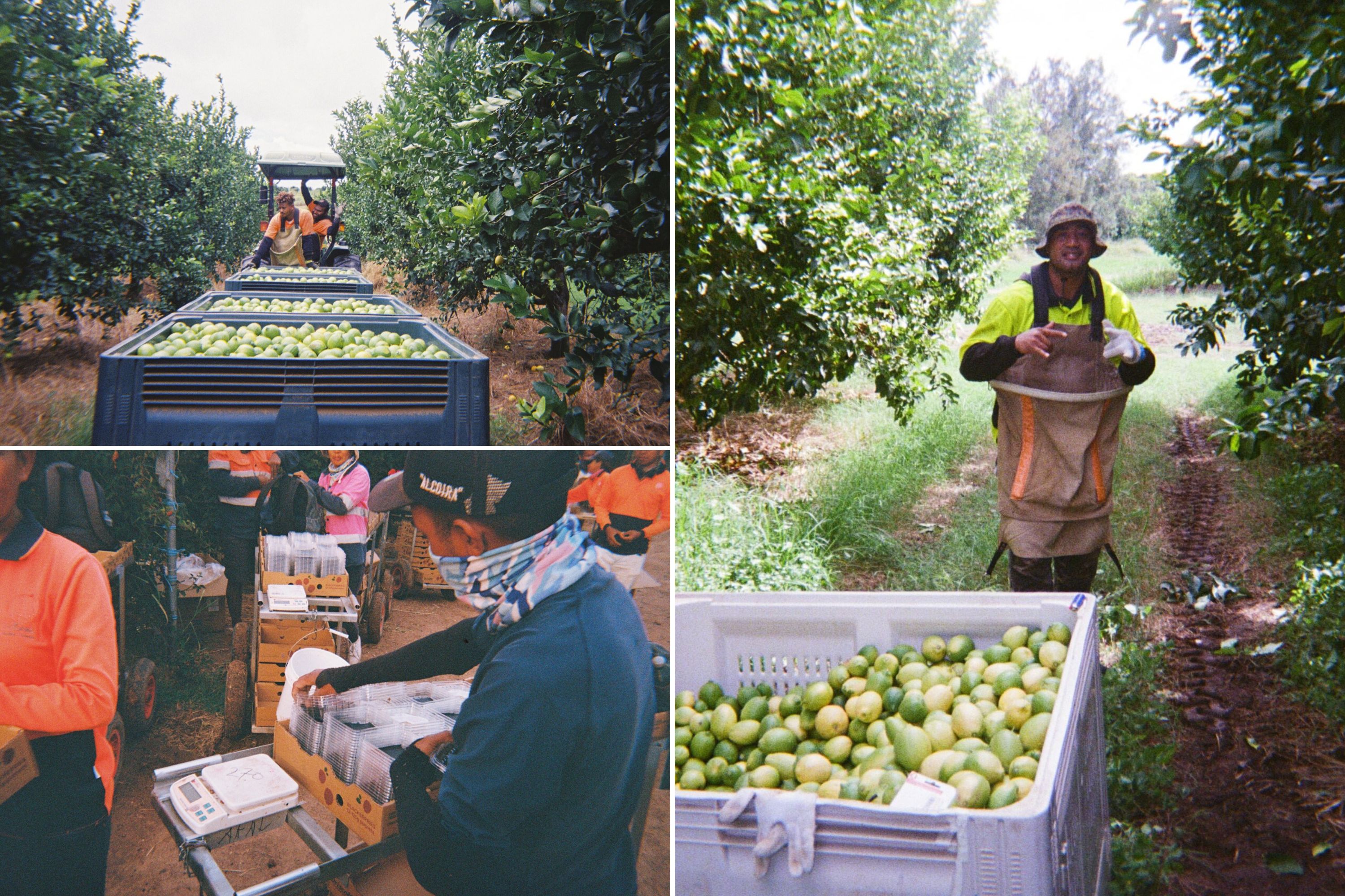 Photography exhibition shines light on international workers ...