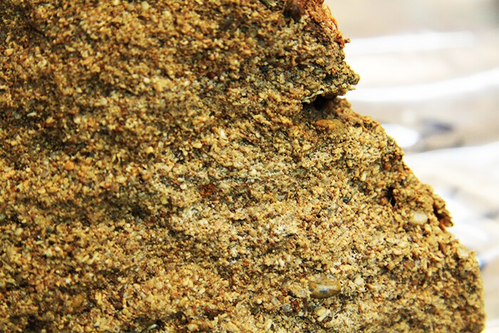 Vast stretch of underwater Ice Age sand dunes preserved as stone - ABC News