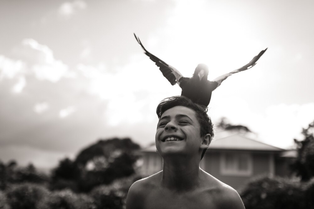 Bird rescue slings and Cameron Bloom's magpie images feature in joint ...