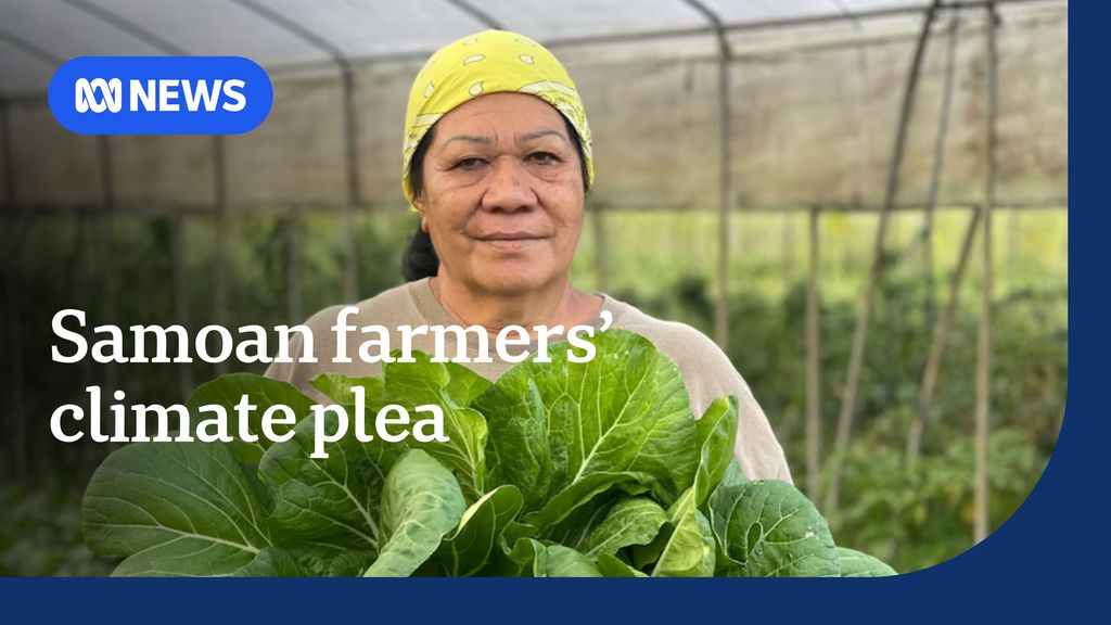Samoan farmers want climate to be at centre stage of CHOGM. - ABC News