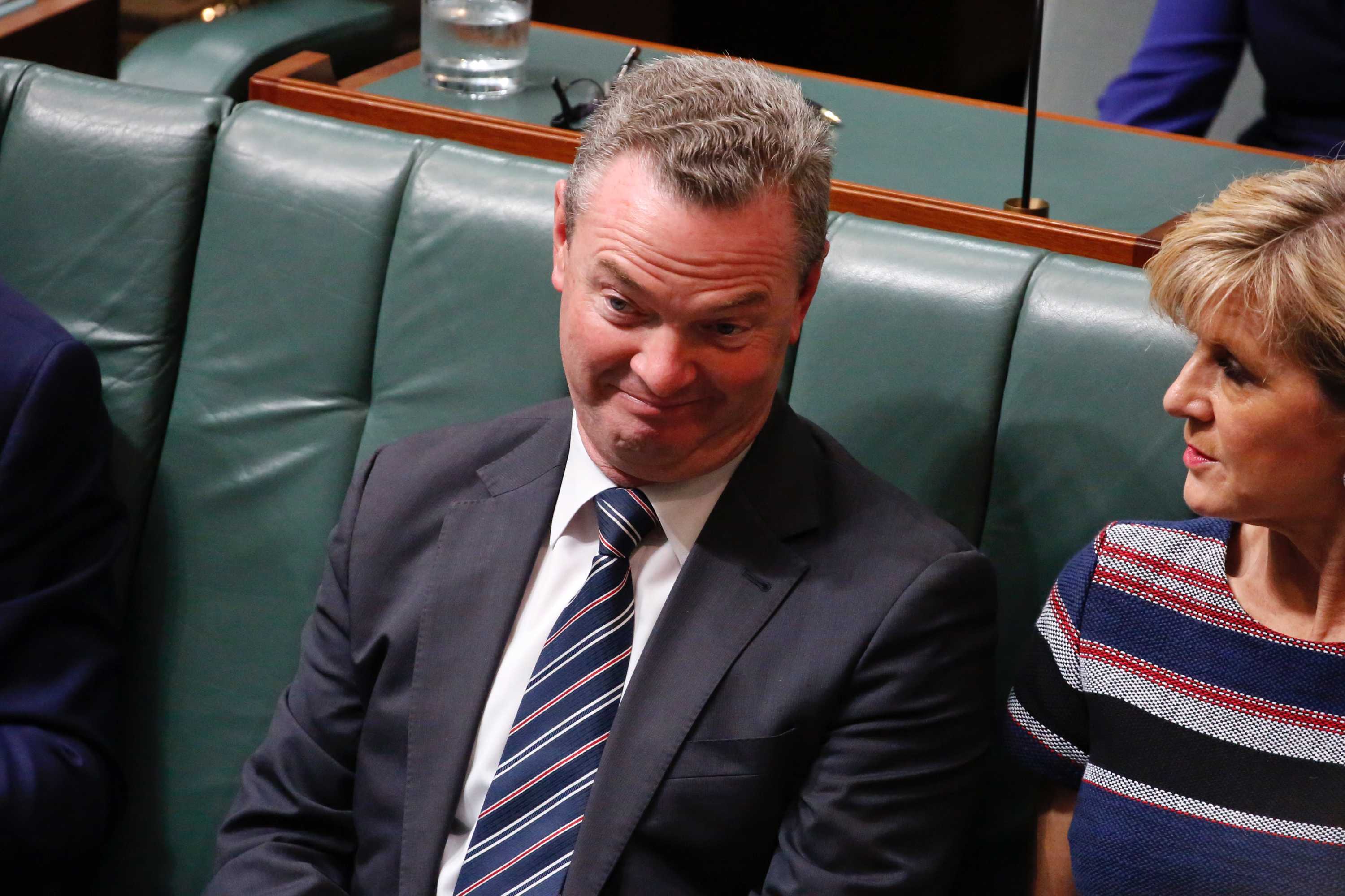 Christopher Pyne is expected to quit politics — here are some of his ...